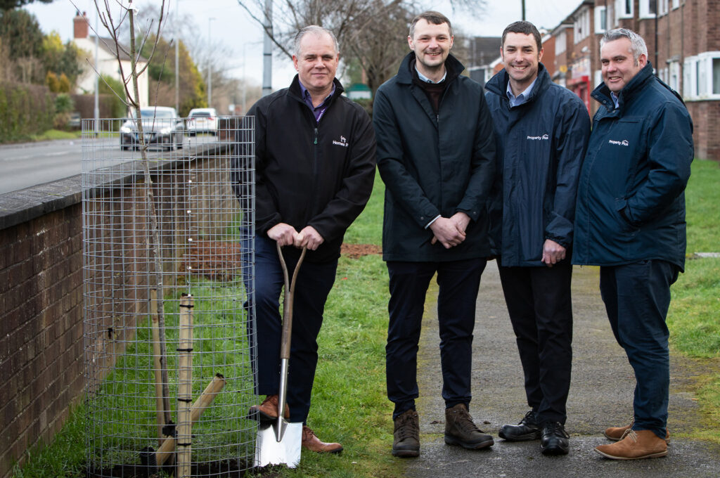 Planting new trees to help brighten up neighbourhood - Homes Plus